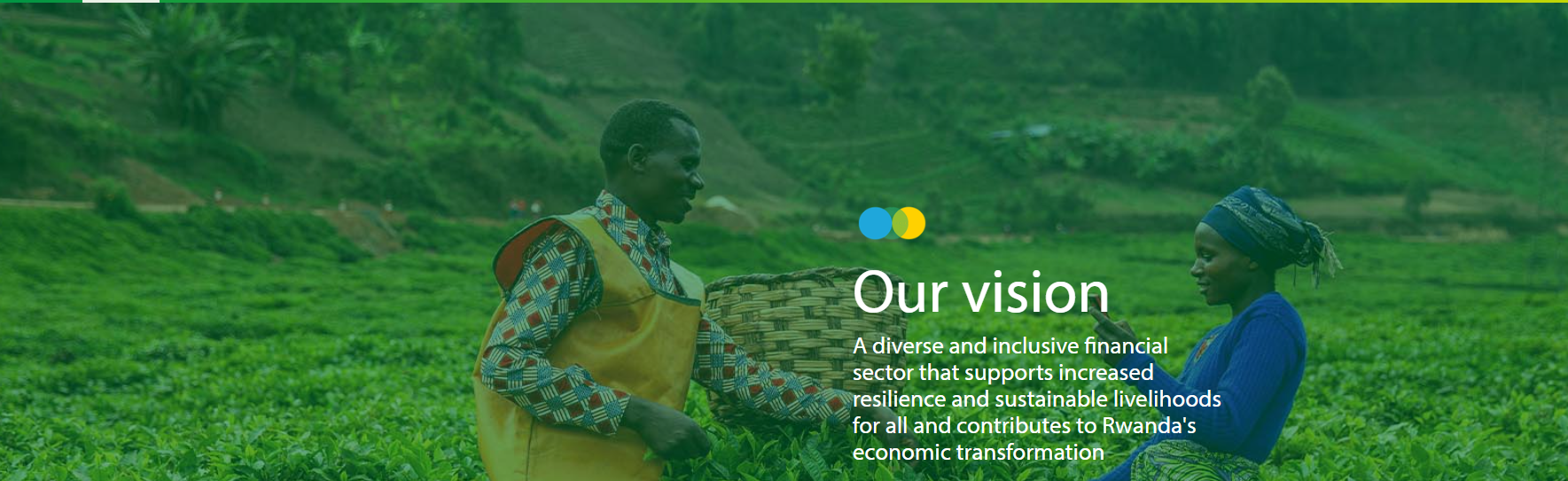 Evaluation of e-commerce project for Rwandan MSEs · Genesis Analytics